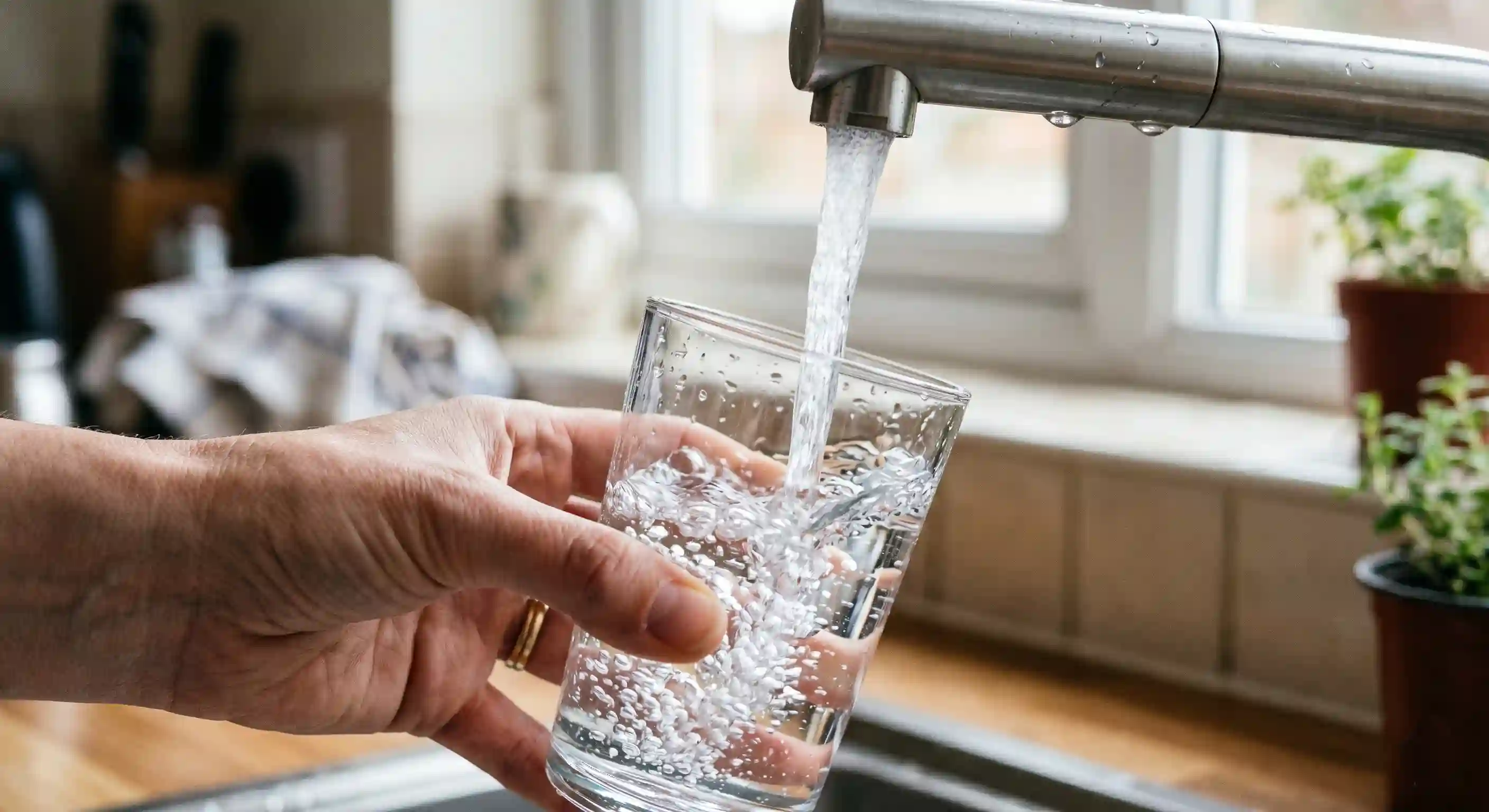 Rosemount Water Quality Meeting Recap: Experts Took Your Well #8 ...